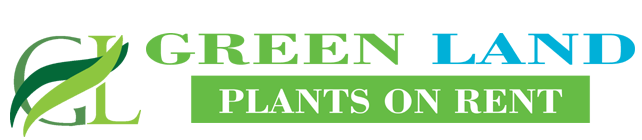 Vertical Green Wall – Green Land Service